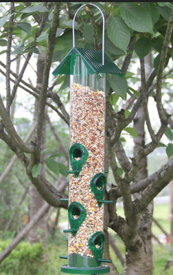 6 Perch Cool Bird Feeders 650g Capacity Clear PC Tube With Green ABS Lid