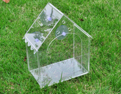 Custom Color Acrylic Bird Feeder Feeder Dismantles Easily For Cleaning And Filling