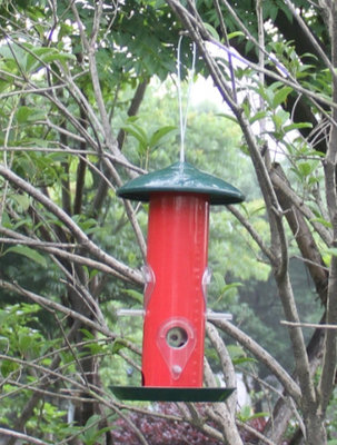 Yard Metal Bird Feeders Independent Seed Port Compartments ATTRACT More Birds