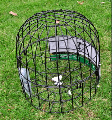 Black Powder Coated Bird Feeder Accessories Big Ground Cage Metal 1mm Wire