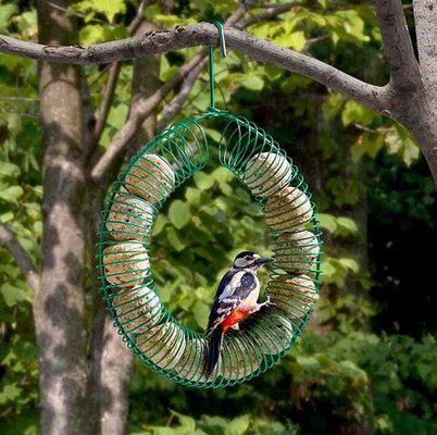 SS Spring Fat Ball Bird Feeder / Shelled Peanut Bird Feeder Blue Powder Coated