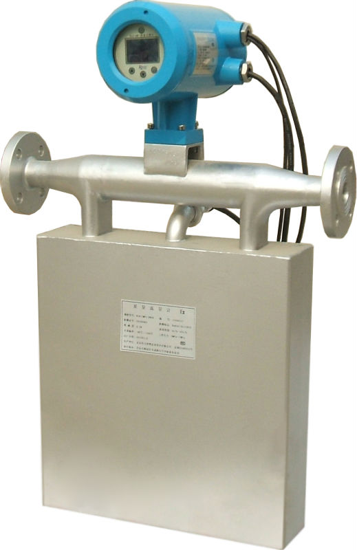 Mass flow meter flowmeter MT100M