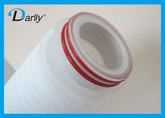 Darlly PTFE Micron Acid Water Cartridge Filter ISO9001 FDA Standard