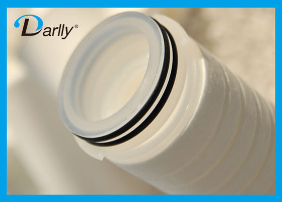 Darlly PTFE Micron Acid Water Cartridge Filter ISO9001 FDA Standard