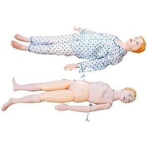Human Nursing model