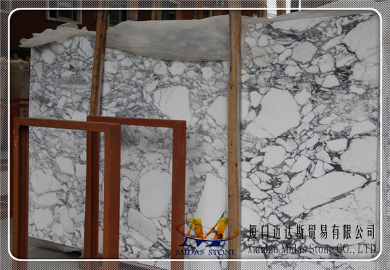Italia White Marble Slabs/ Arabeseato Carrara Marble Slabs/ Calacatta Slabs
