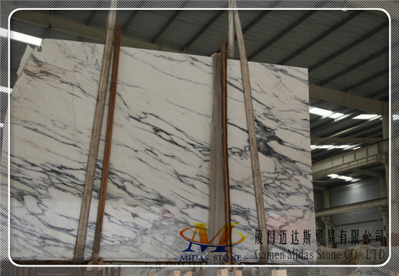 Italia White Marble Slabs/ Arabeseato Carrara Marble Slabs/ Calacatta Slabs