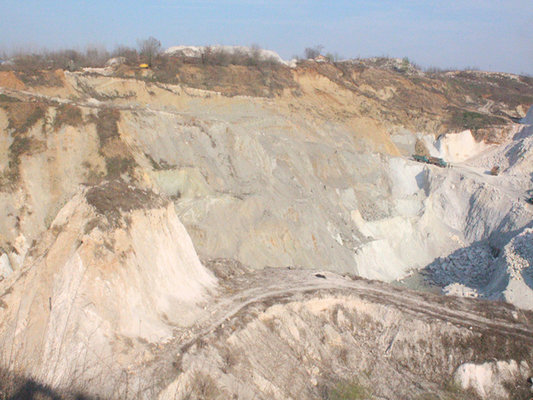 White 200 Mesh Zeolite Powder For Soil Conditioner In Agriculture