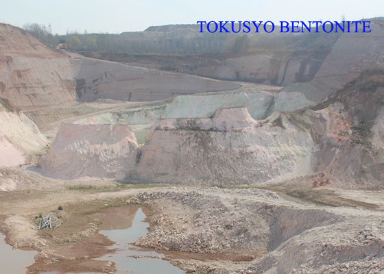 High Thixotrop API Grade Mineral Bentonite For Drilling Fluids