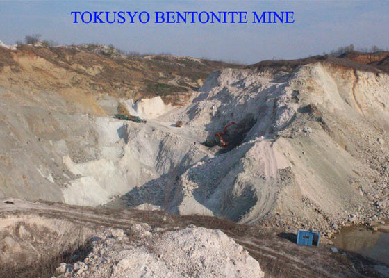 High temperature resistance Foundry bentonite Absorbent , sodium bentonite clay