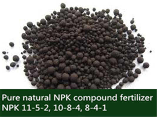 Granular NPK Pure Organic Guano Fertilizer For Fruit And Flowering Plant