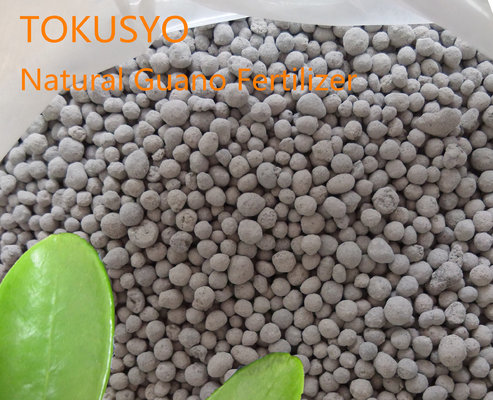 High P2O5 Natural Organic Guano Fertilizer Granular For Gardening