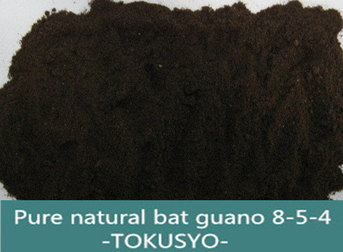 Nitrogen Fertilizer Organic Guano Fertilizer Bat Guano NPK 8- 5- 4