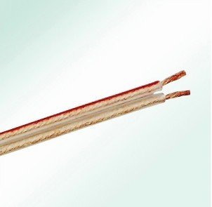 XLPE Insulated Fire Resistant Electrical Cable with 2 Core Copper Conductive Wire