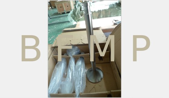 SKL NVD48A-2U Exhaust Valve Spindle