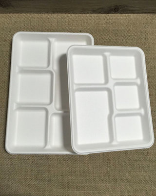 8inch 100% biodegradable bagasse pulp plate square sugarcane plate