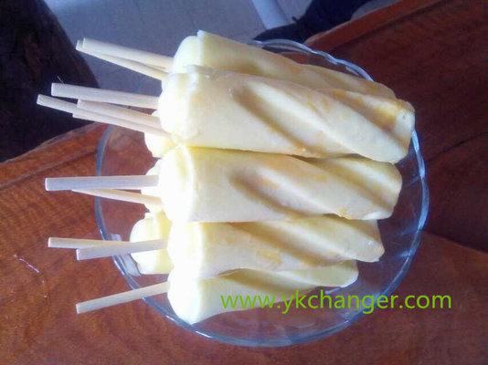 Commercial ice cream molds ice cream mold ice cream mould ice cream moulds top quality supplier