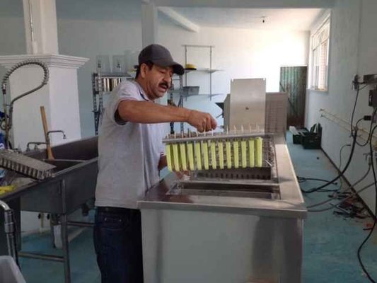 Frozen ice lolly mold stainless ice pop mold with extractor high quality popsicle mold supplier