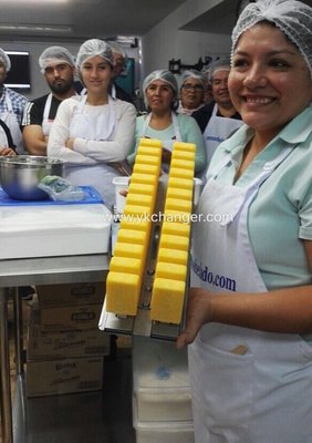 Ataforma type ice cream moulds commercial use high quality 2X13 86ml 123ml paletas with plain helix stick holder aligner supplier