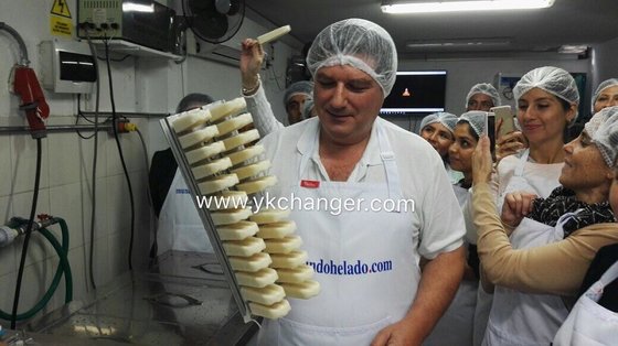 Ataforma type ice cream moulds commercial use high quality 2X13 86ml 123ml paletas with plain helix stick holder aligner supplier