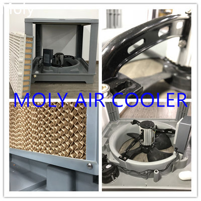 MOLY AIR COOLER  Climatizadores  climatizador evaporativo industrial