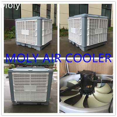 Moly Evaporative air coolers MT-18T/B/S 18000CMH