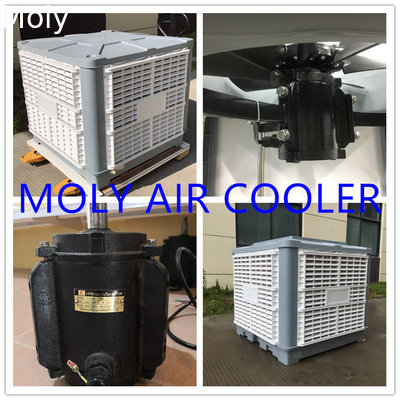 MOLY AIR COOLER  Climatizadores  climatizador evaporativo industrial