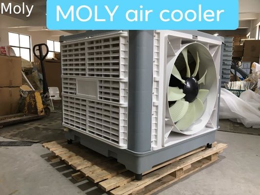 Moly Air Cooler Export Iraq Side Discharge Evaporative Air Cooler 20000m3/H