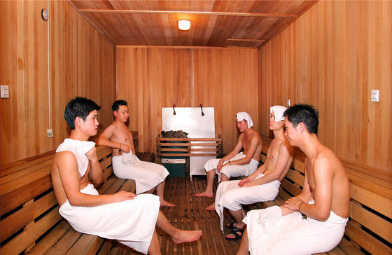 Monalisa M-6033 Finland sauna room dry steam sauna enclosure European style sauna house indoor home saunas