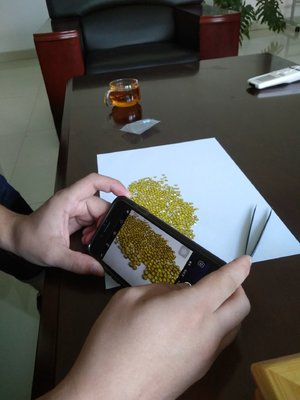 monocrystalline diamond stone
