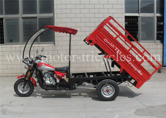 Professional Front Roof Cargo Motor Tricycle , Gasoline Tricycle Optional Color