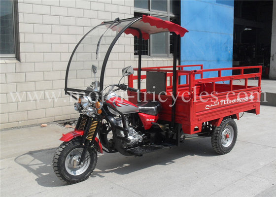 Professional Front Roof Cargo Motor Tricycle , Gasoline Tricycle Optional Color