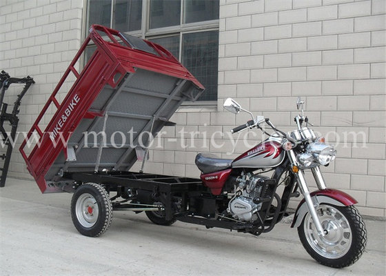 Electrical Kick Motorized Cargo Trike Three Wheel Shaft Drive 5 Speed Transmission