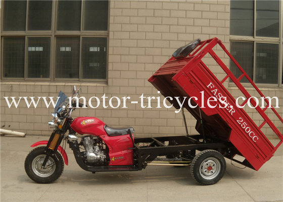 167FMM Engine 11.5kw Cargo Motor Tricycle Tricycles Air Cooled RS250ZH-F1