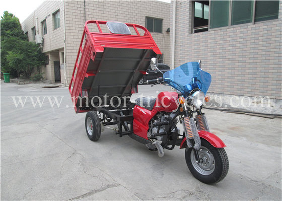 Durable Fame 250CC Motor Tricycle Motorcyle , Three Wheel Cargo Motorcycle
