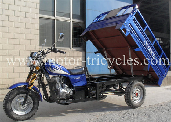 Cargo Box Eec Gas Motorized Cargo Trike  Three Wheel Tri Motorcycle RS200ZH-E
