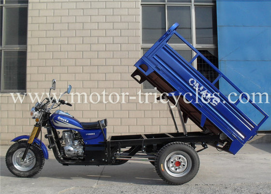 Cargo Box Eec Gas Motorized Cargo Trike  Three Wheel Tri Motorcycle RS200ZH-E