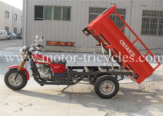 Professional Gas / Petrol Three Wheel Motorbikes , Motorized Cargo Trike