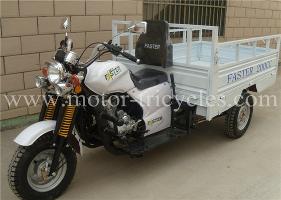 Air Cooled 250CC Motor Tricycle 3 Wheel Motorbikes Flower Pattern RS200ZH-FC