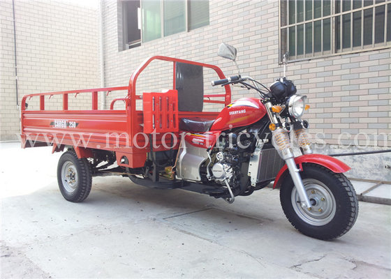 Enclosed Box 250CC Motor Tricycle Trike