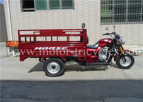 OEM Adult 250CC Motor Tricycle Motorized , Three Wheel Cargo Motorcycle