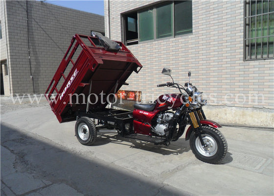 3 Wheel Scooters 250CC Tricycle
