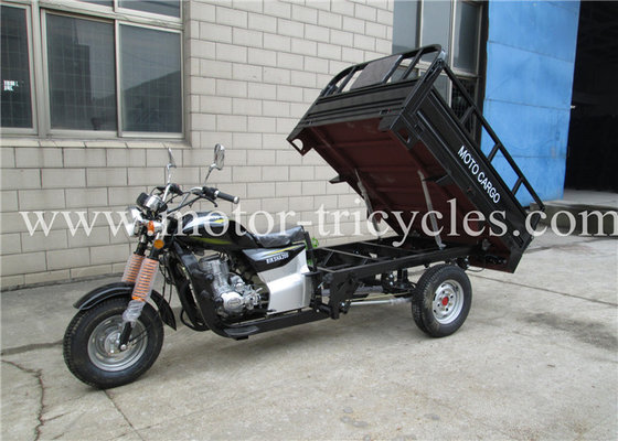 OEM Eec Tricycle 3 Wheel Trike