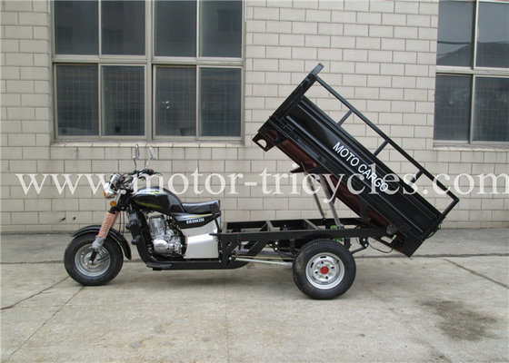 OEM Eec Tricycle 3 Wheel Trike