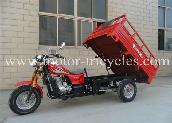 OEM Three Wheel Eec Tricycle , Gasoline Tricycle Shaft Drive 5 Speed