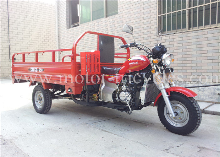 Enclosed Box 250CC Motor Tricycle Trike