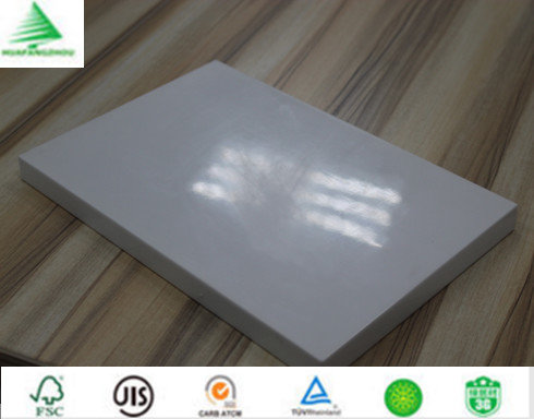 5-25mm New PET decorative panel with  high surface strength  importer