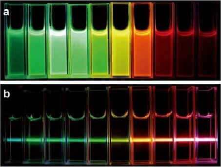 Water-soluble CdTe QDs (Amino modified)