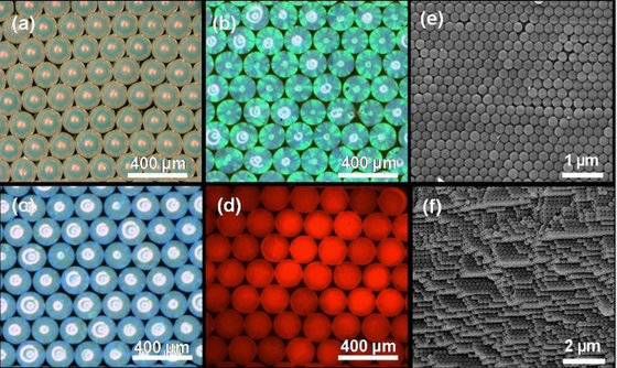 Monodisperse Polystyrene microspheres( PS)  nanoscale, sub-micron