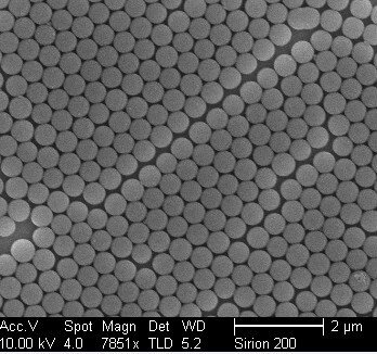 Monodisperse PS carboxyl